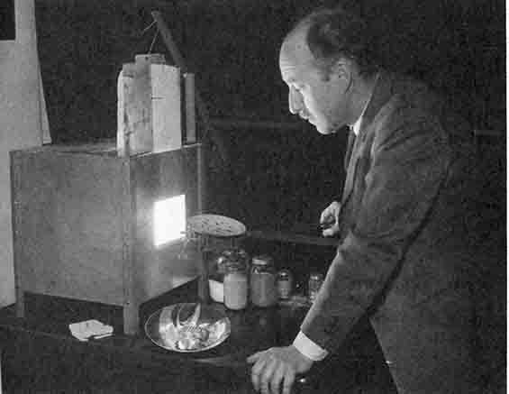 Painting With Fire (From our Archives) - The Magazine Antiques