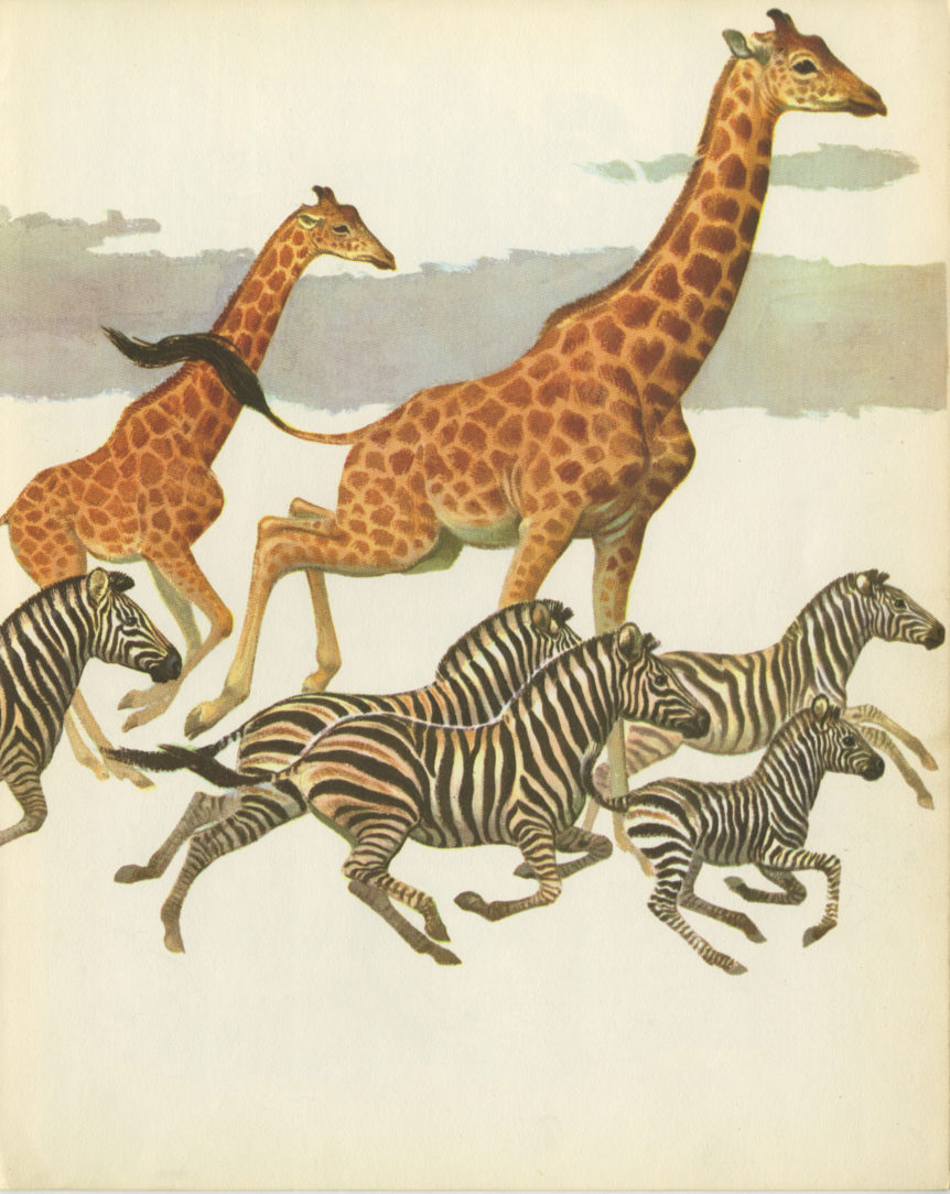 Curious Objects: David Webb archivist Levi Higgs and the company’s ...