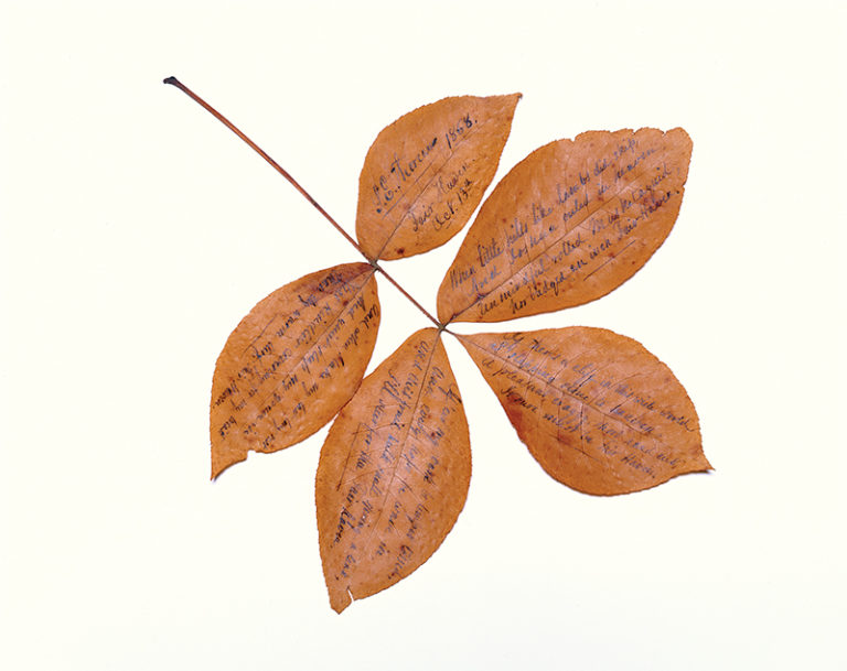 Five Leaves Left - The Magazine Antiques