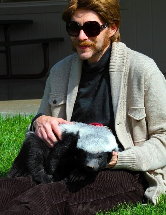 Randall Honey Badger collects baseball cards - The Magazine Antiques