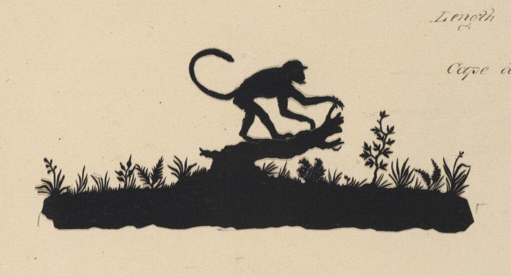 Shadowy Figures - The Magazine Antiques