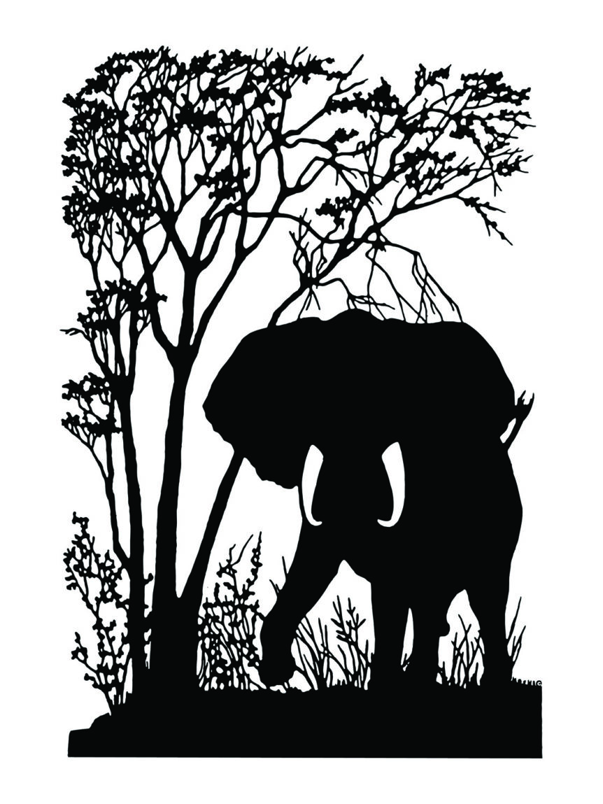 Shadowy Figures - The Magazine Antiques