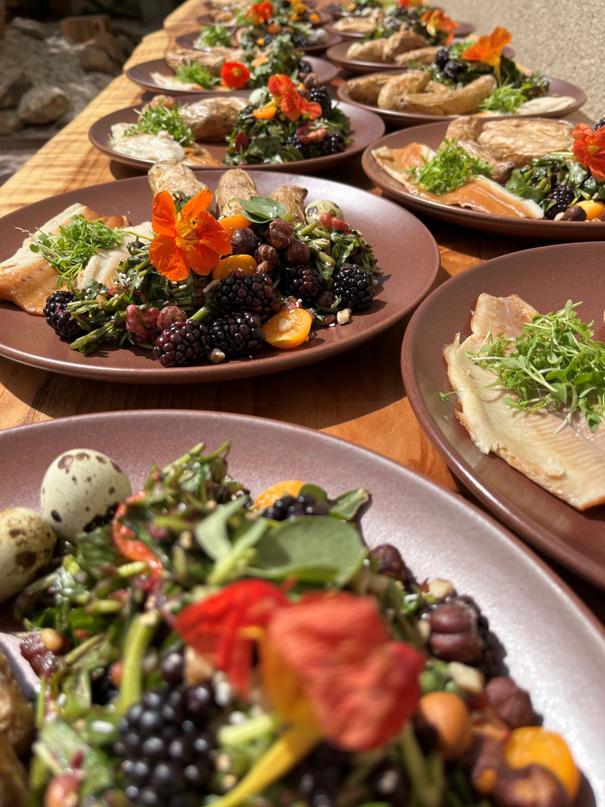 Field notes: On Native Grounds - The Magazine Antiques