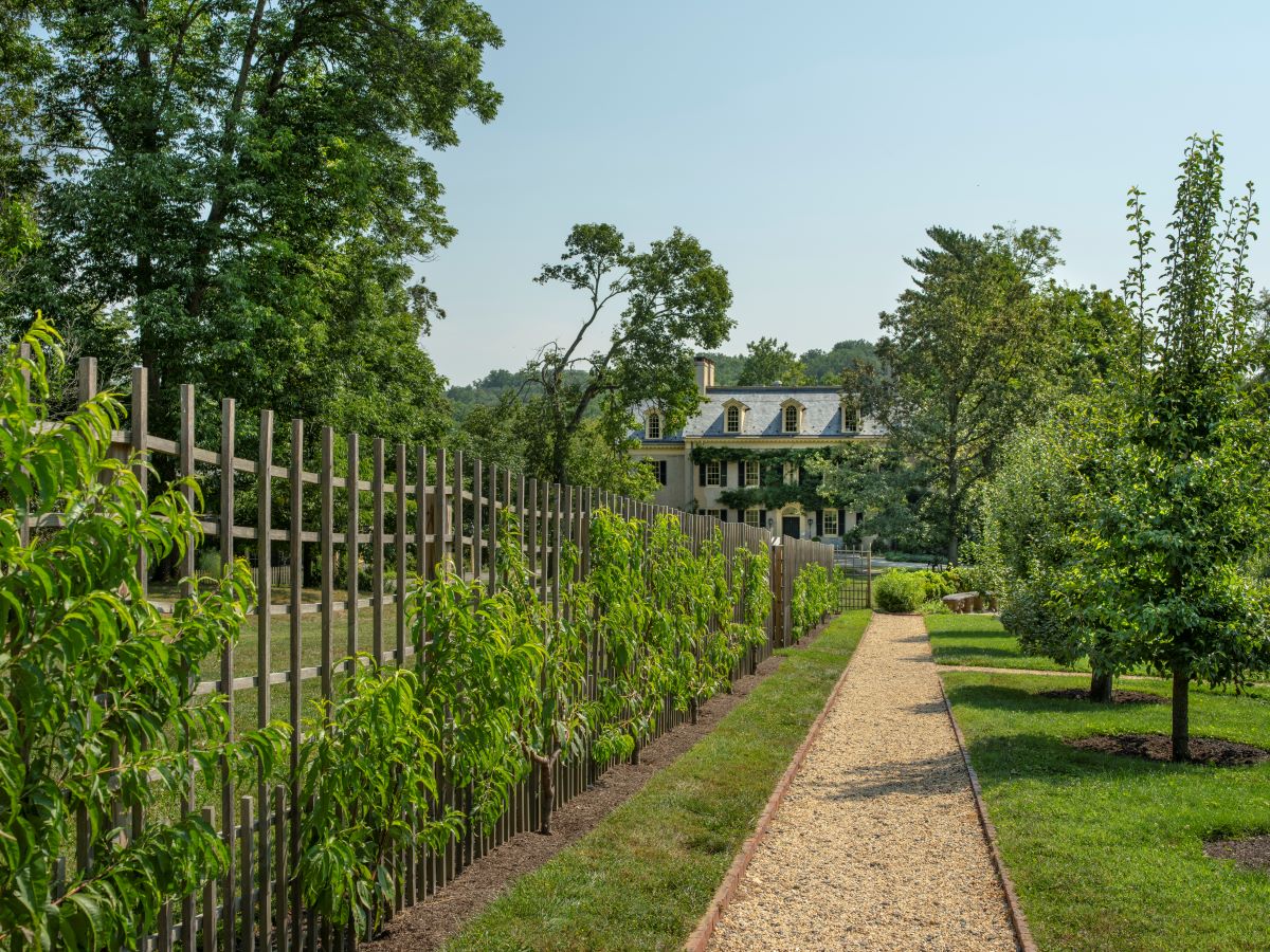 From Gunpowder to Greenery - The Magazine Antiques