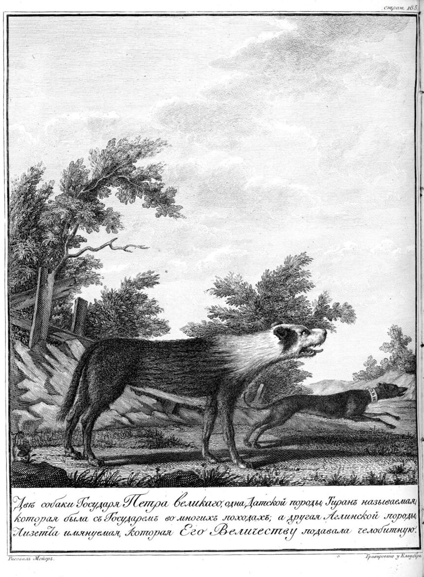 Leash Common Denominator - The Magazine Antiques